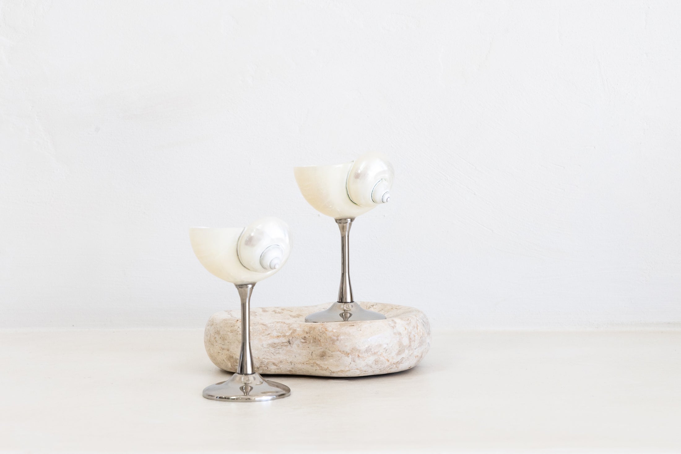 Conch Shell Cocktail Glass: Silver – Saltist