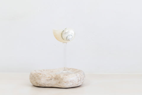 Conch Shell Cocktail Glass: Gold – Saltist