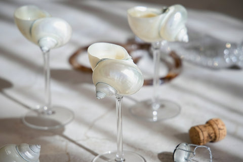 Conch Shell Cocktail Glass: Gold – Saltist