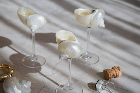Conch Shell Cocktail Glass: Gold – Saltist